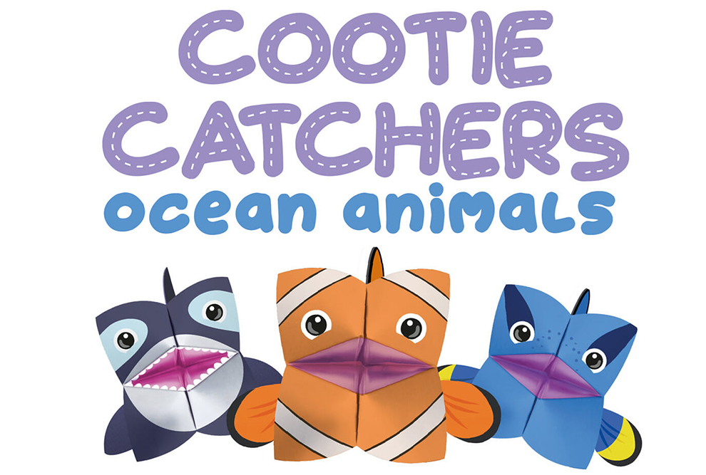 Children's Activity Book Design, Book Ideas & Packaging